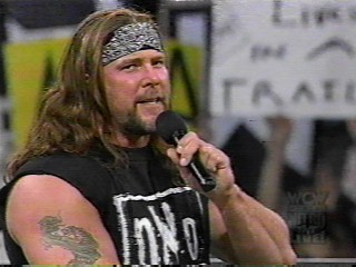 WORLD WRESTLING ENTERTAINMENT: TNA X Division Champions