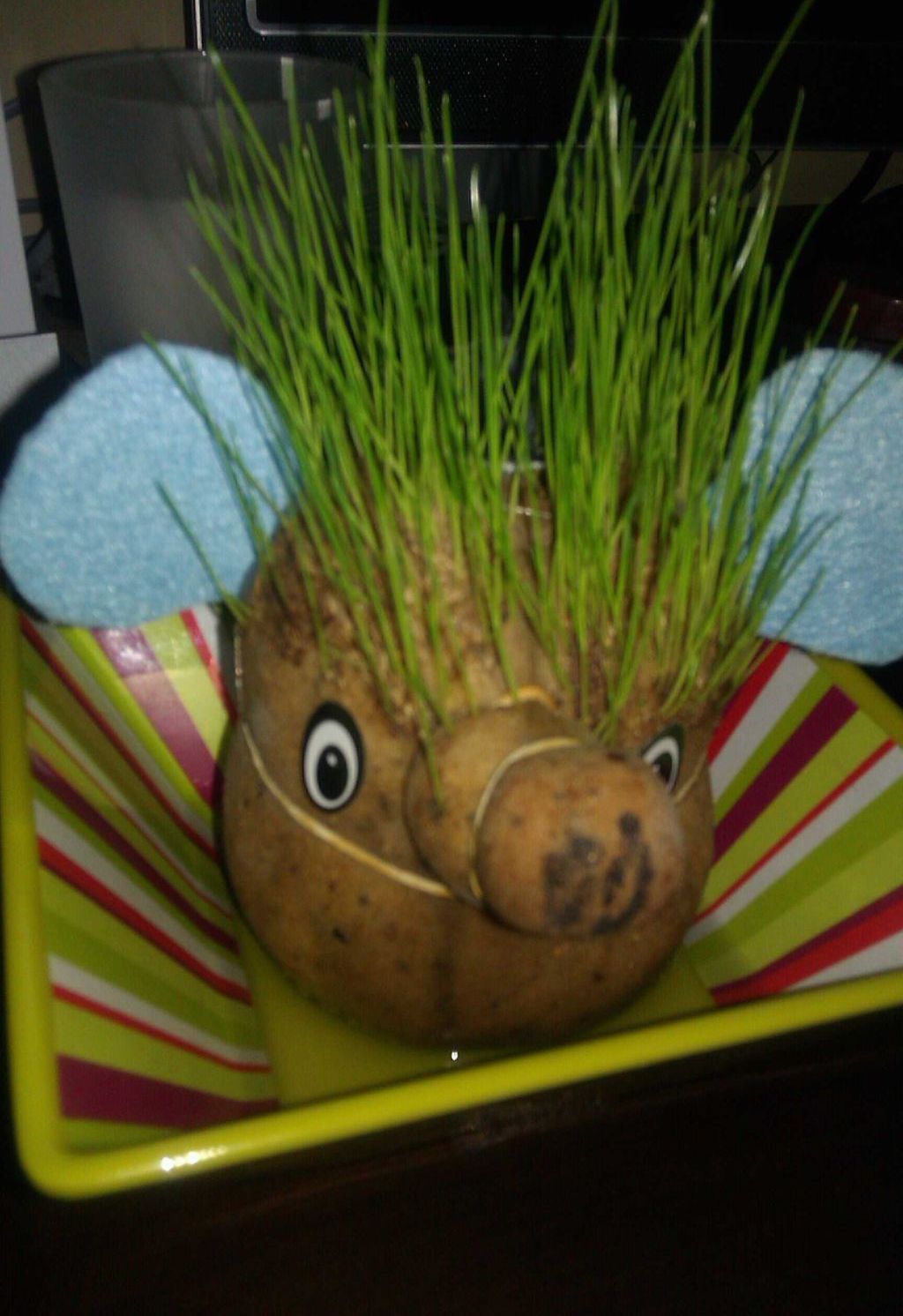 Encontramos Tu Mundo: Grass Puppets ¡¡A cortarle el pelo!!