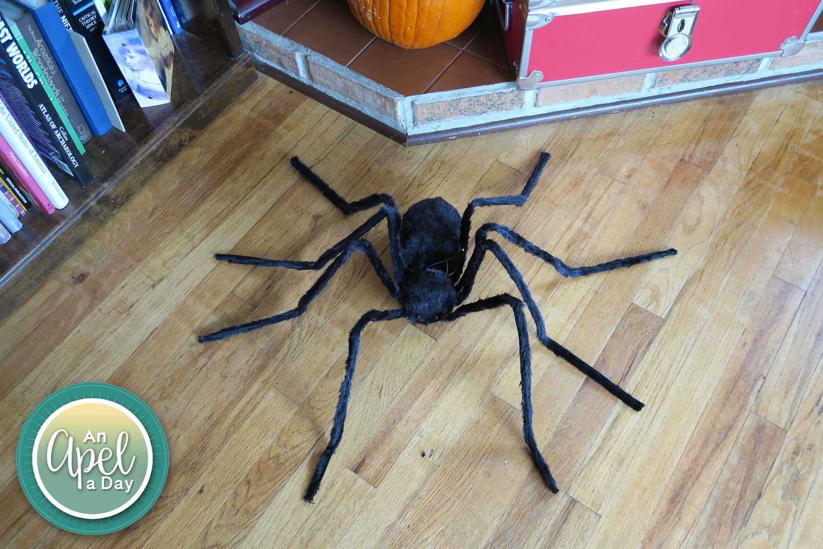 An Apel a Day: Giant Spider - for Halloween Decor Review