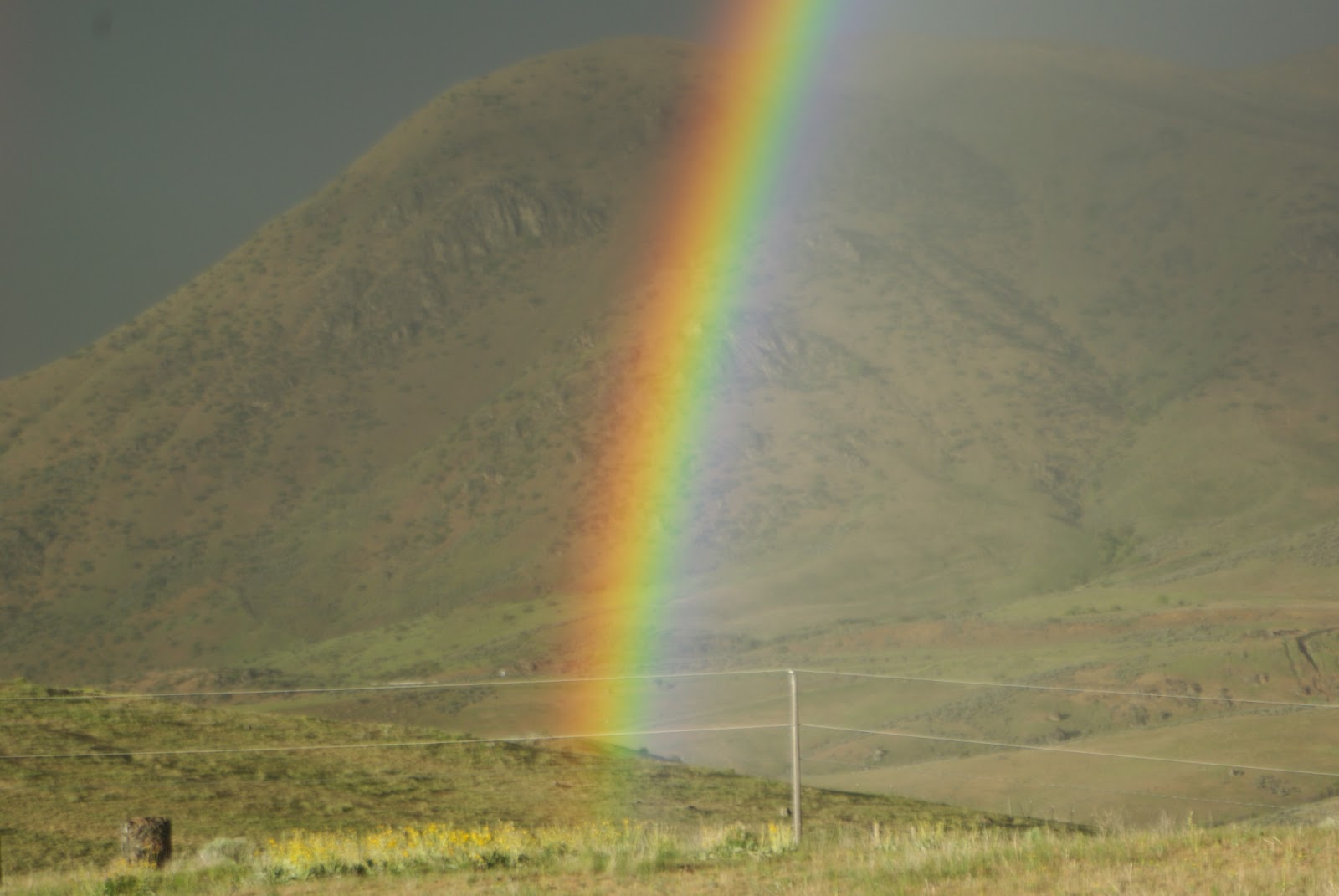 Sitting At The Foot of the Mountain: The Days of Dry Rain