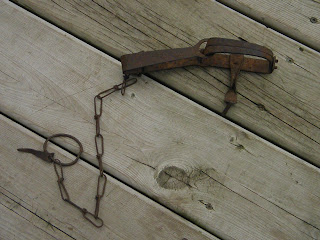 BACK TO THE WILD: HUMANE vs. INHUMANE