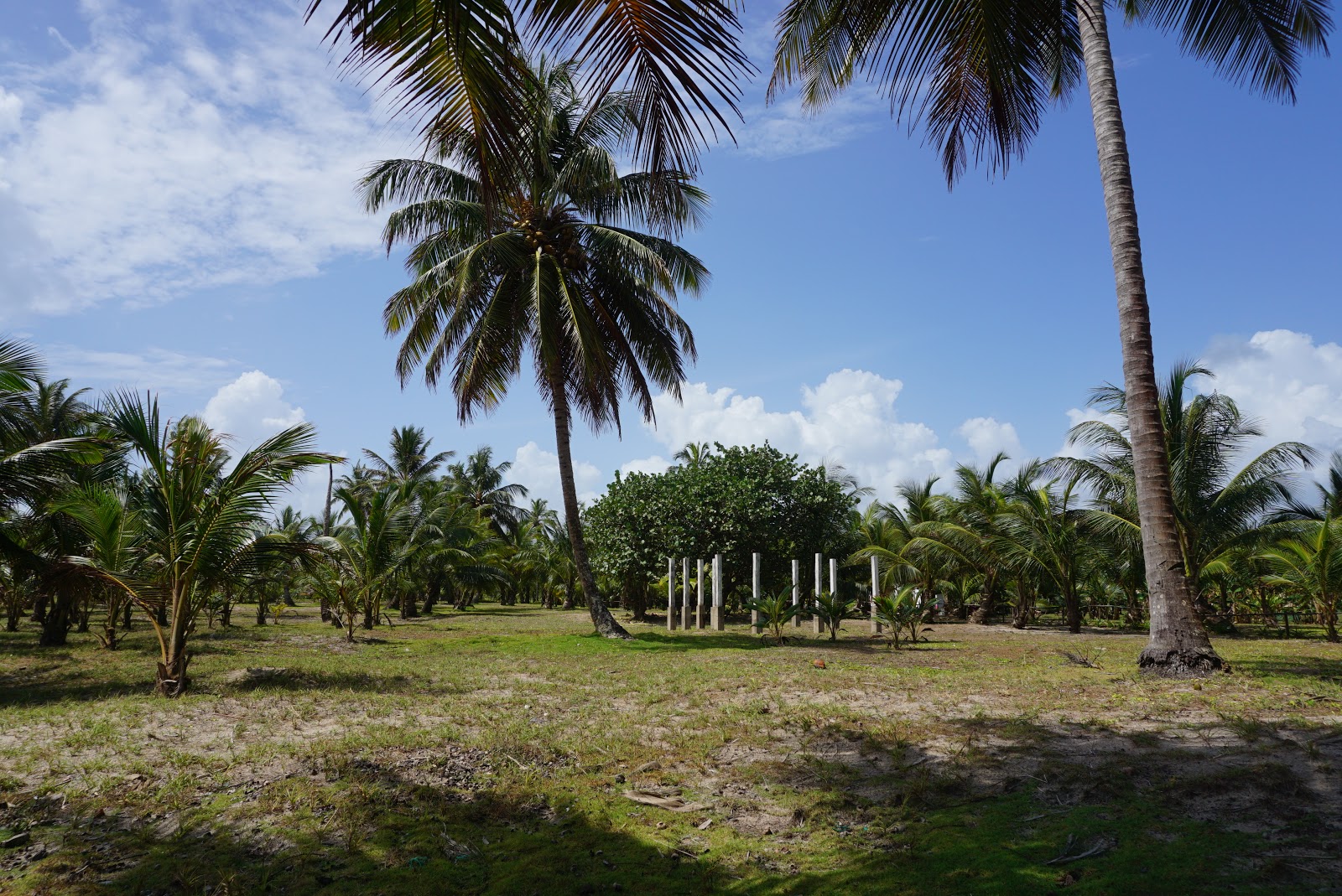 FALSE BLUFF NICARAGUA: Coconut trees and hammocks and the passage of time
