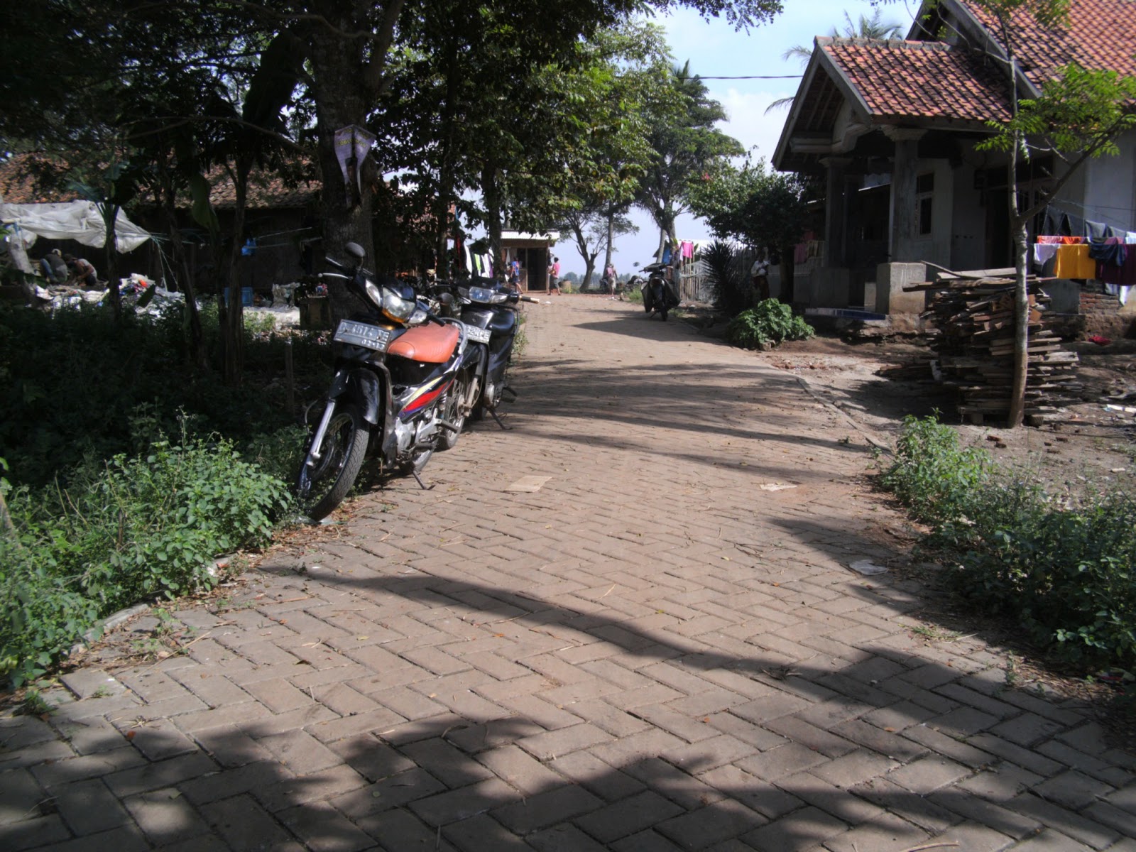 PROPERTY TANGERANG (Jual-Beli-Sewa Property di Tangerang): SAWAH 1 Ha ...