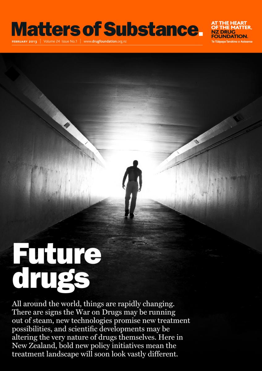 Transform Drug Policy Foundation Blog: February 2013