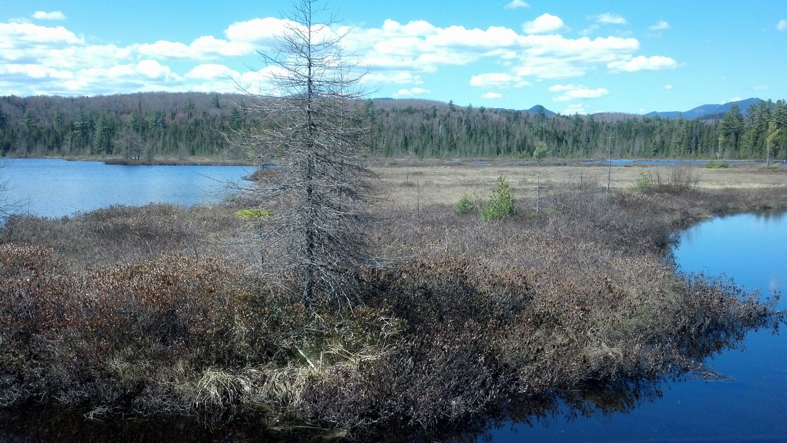 Off on Adventure: Wolf Pond - Vanderwhacker Mountain Wild Forest - 5/5/13