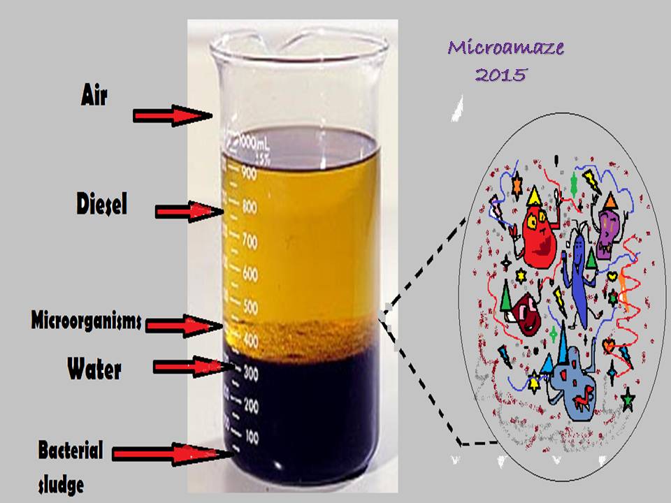 the Life Scientist: Fuel contamination
