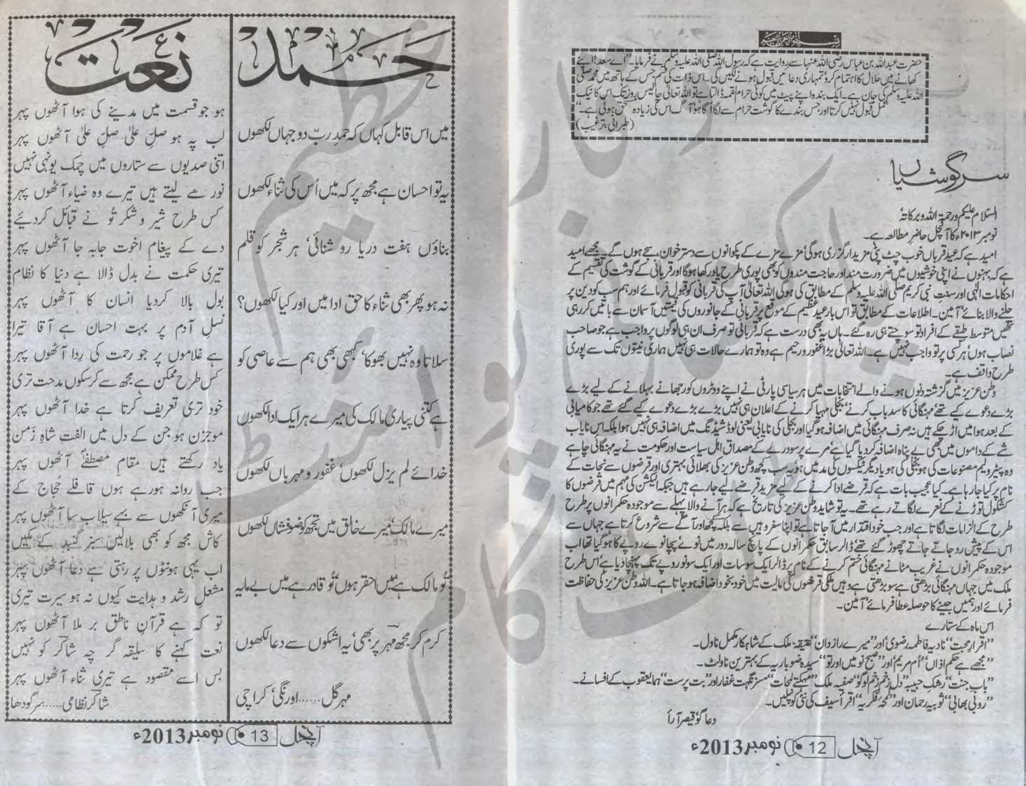 Free Urdu Digests: Aanchal Digest November 2013 Online Reading.