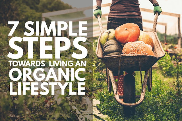 Home • Wellness • Lifestyle: 7 Simple Steps Towards Living An Organic ...