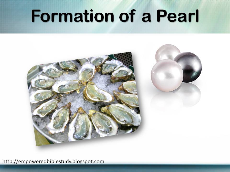 Empowered Bible Studies: January 2012