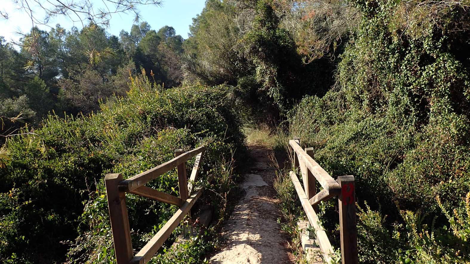 CIMA A CIMA: - Paraje Natural de la Cova Negra