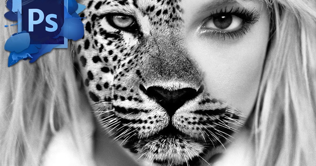 Newell ITC Media (2015-2016): Photoshop Project: You're An Animal!