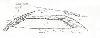 Catfish Success: HOW TO BUILD EARTHEN PONDS