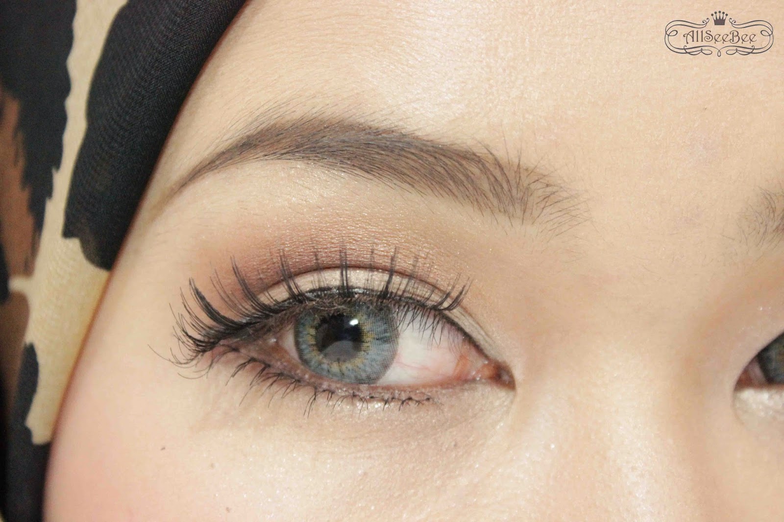 Wet n Wild Ultimate Brow Kit in Ash Brown Review + Eyebrow Tutorial