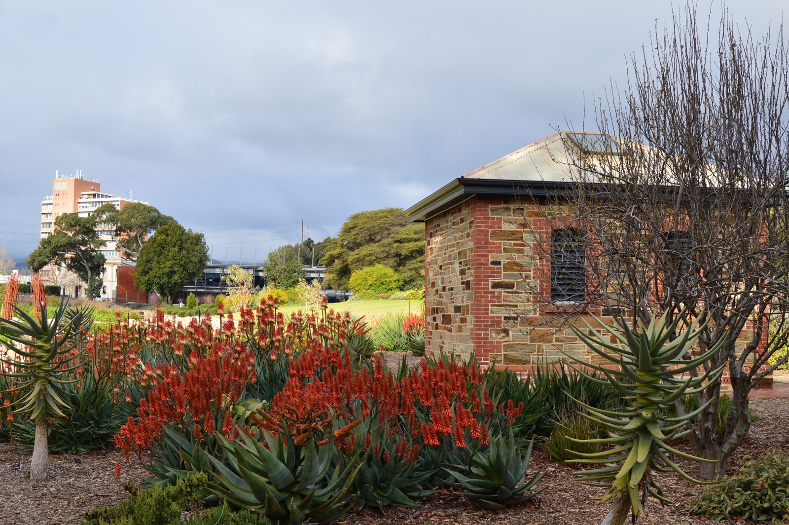 Adelaide : Botanical Garden
