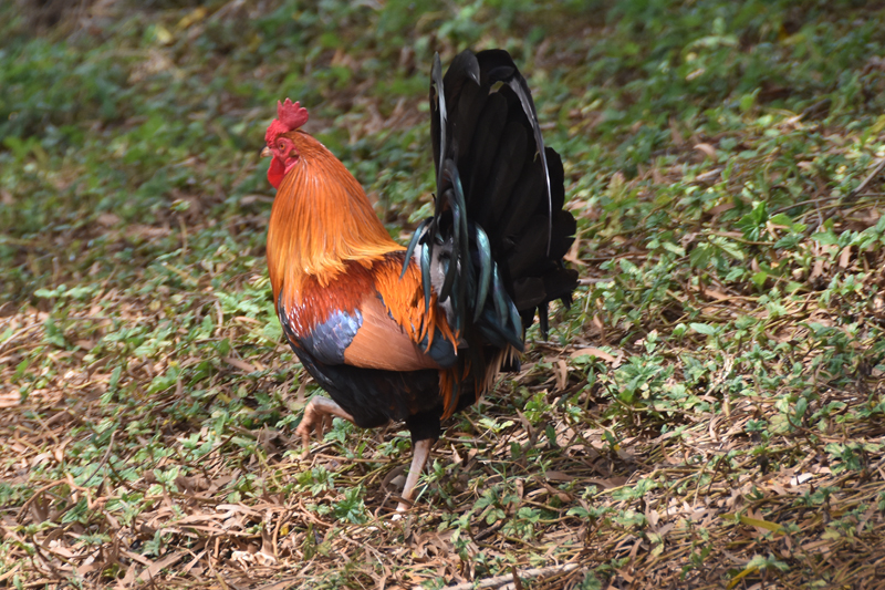 Cathy & Jan's Travels