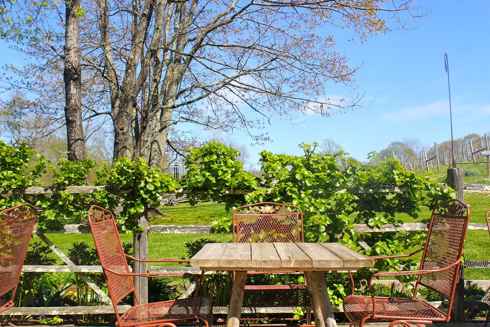 Intrinsic Beauty : Destination: Sharpe Hill Vineyard