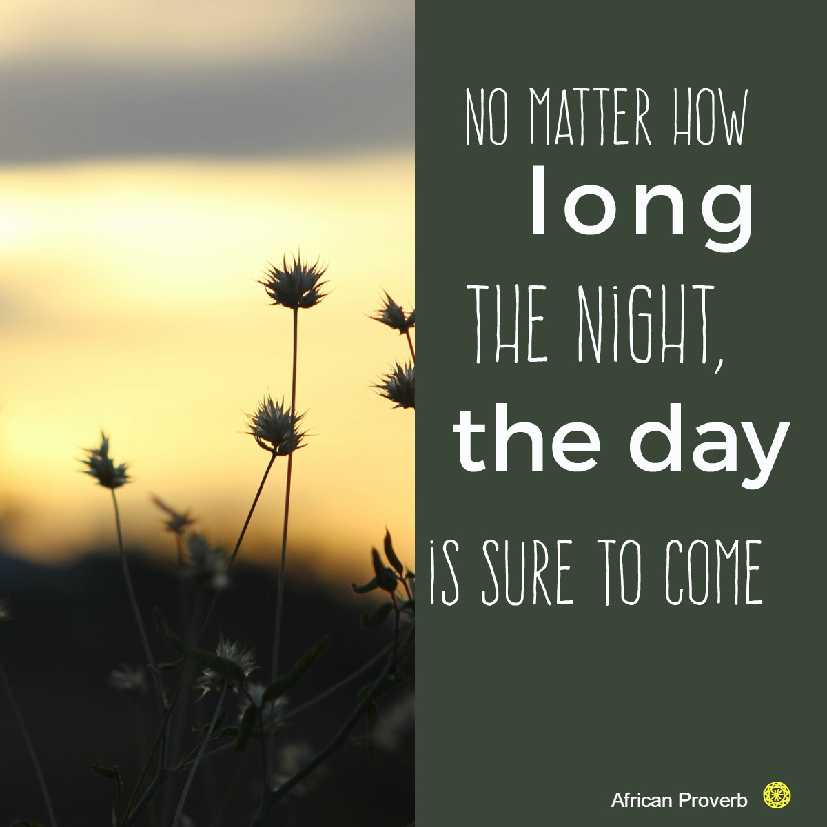 Cultural Night Quotes