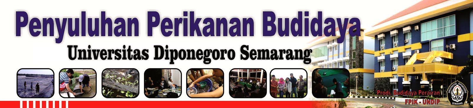 Pembuatan Pakan Cake Untuk Larva Ikan ~ Penyuluhan Perikanan Budidaya UNDIP