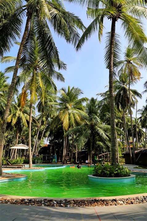 Dindi by the Godavari: A perfect holiday destination in coastal Andhra