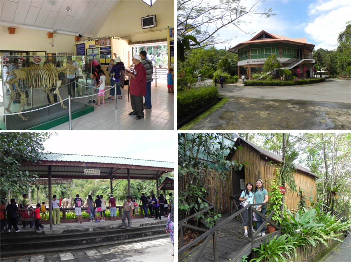 Some stories about us: Lok Kawi Wildlife Park, Sabah