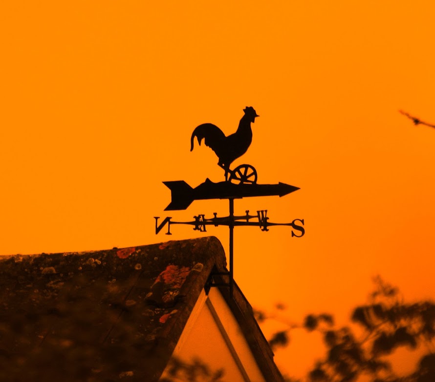 My photo's taken in and around the Forest of Dean: WIND VANES