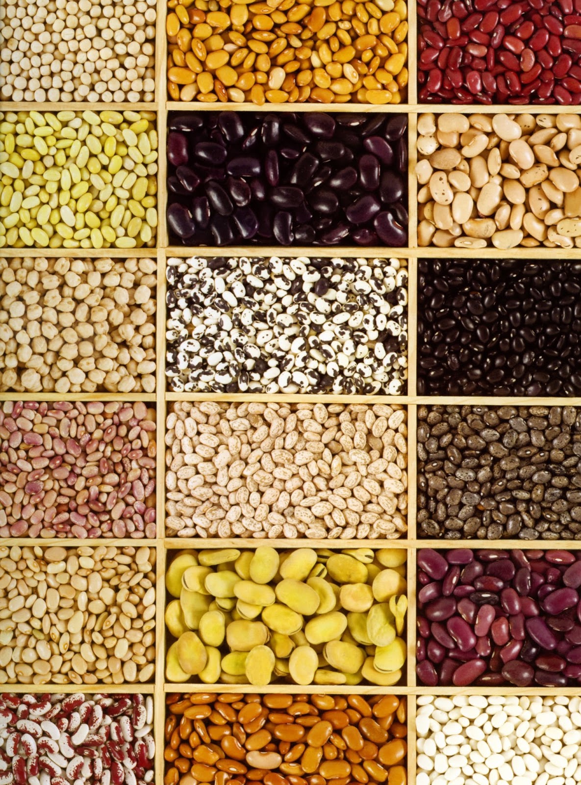 AINA ZA MBEGU BORA ZA MAHARAGE