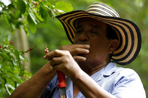 Narración periodística: Cucamba, paraíso de la población mokaná
