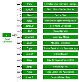 File System Hierarchy of Linux | Online Networks Solution