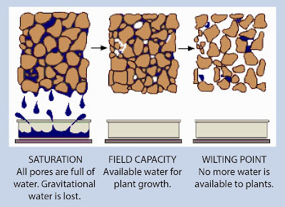 H2Grow : Soil Moisture 101