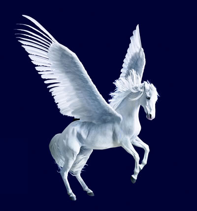 Beyond The World: Know Your Mythology Creatures ! [ Pegasus ]