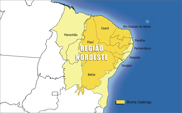 Caatinga: Região onde predomina a Caatinga