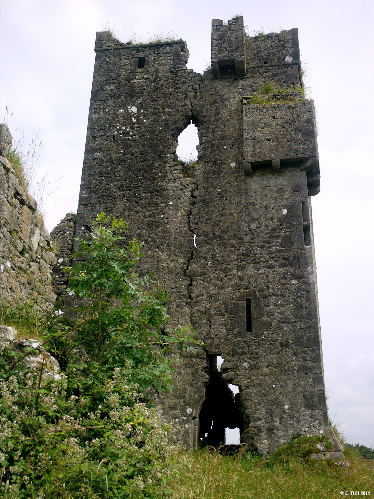 Ireland In Ruins: Srah Castle Co Offaly