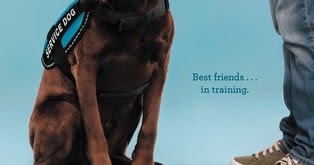 READING FOR SANITY BOOK REVIEWS: Chester and Gus - Cammie McGovern