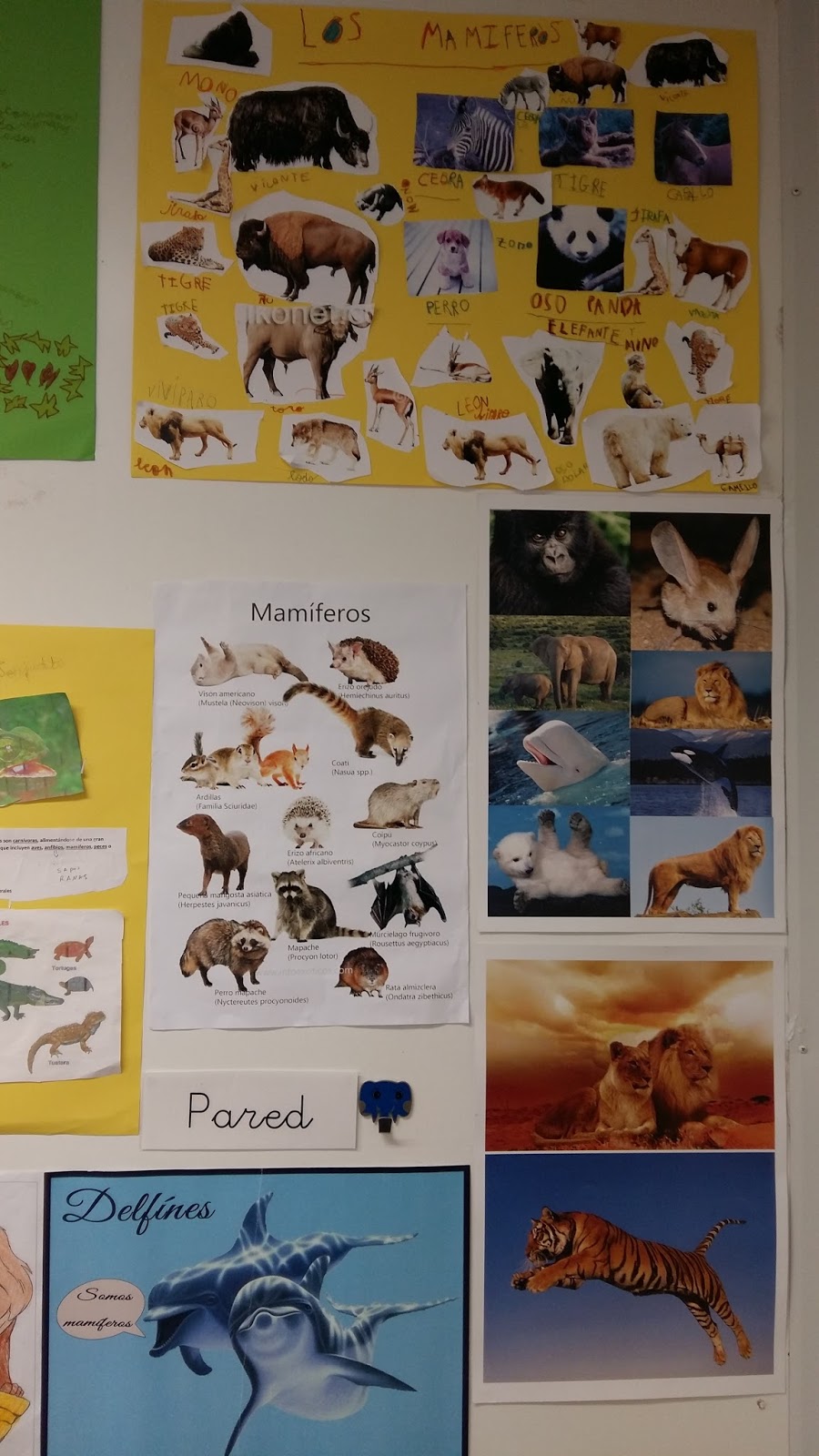 La ventanita de 4º B: Geniales murales de animales