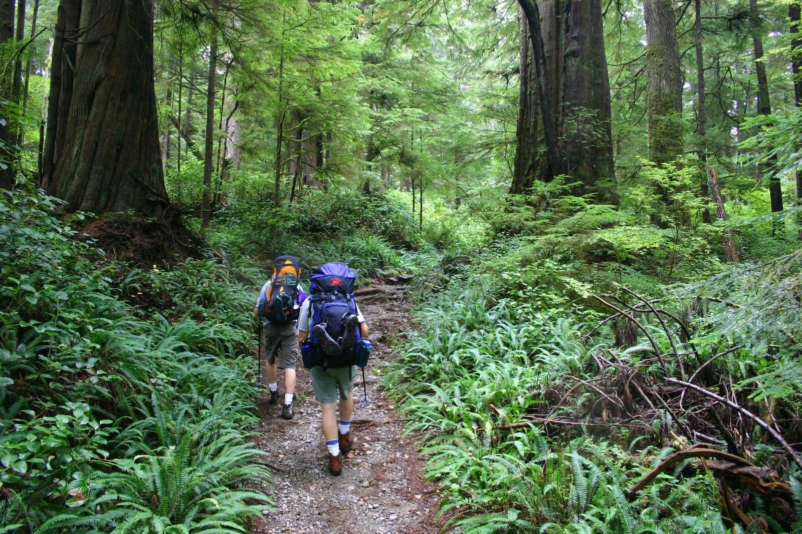 Marine West Coast at emaze Presentation