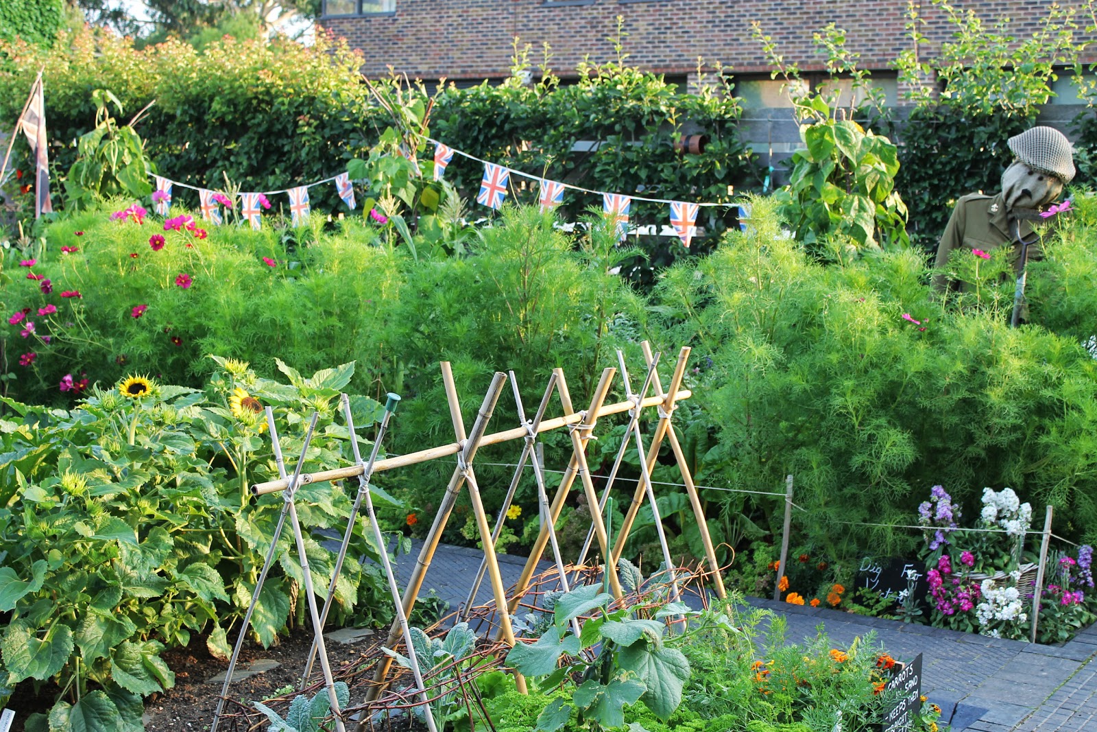 What ho Kew!: Student vegetable plots