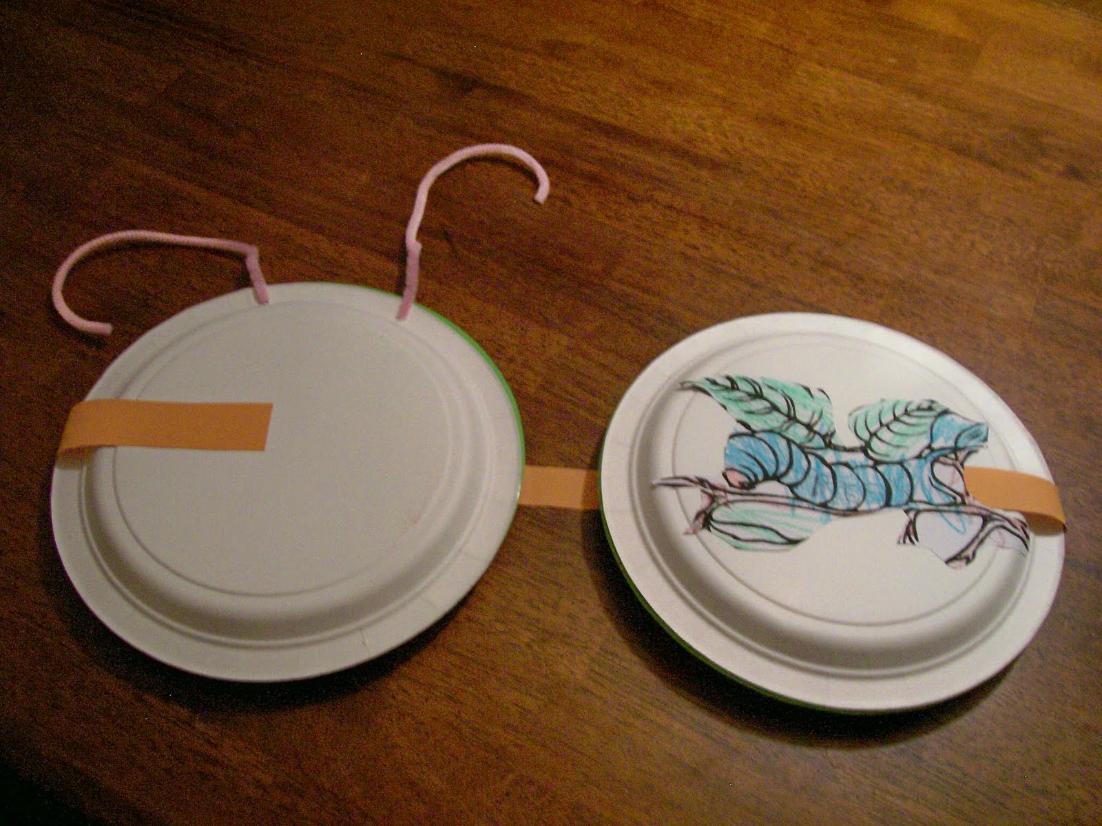 Pauley-Face Farm: Caterpillar Lapbook