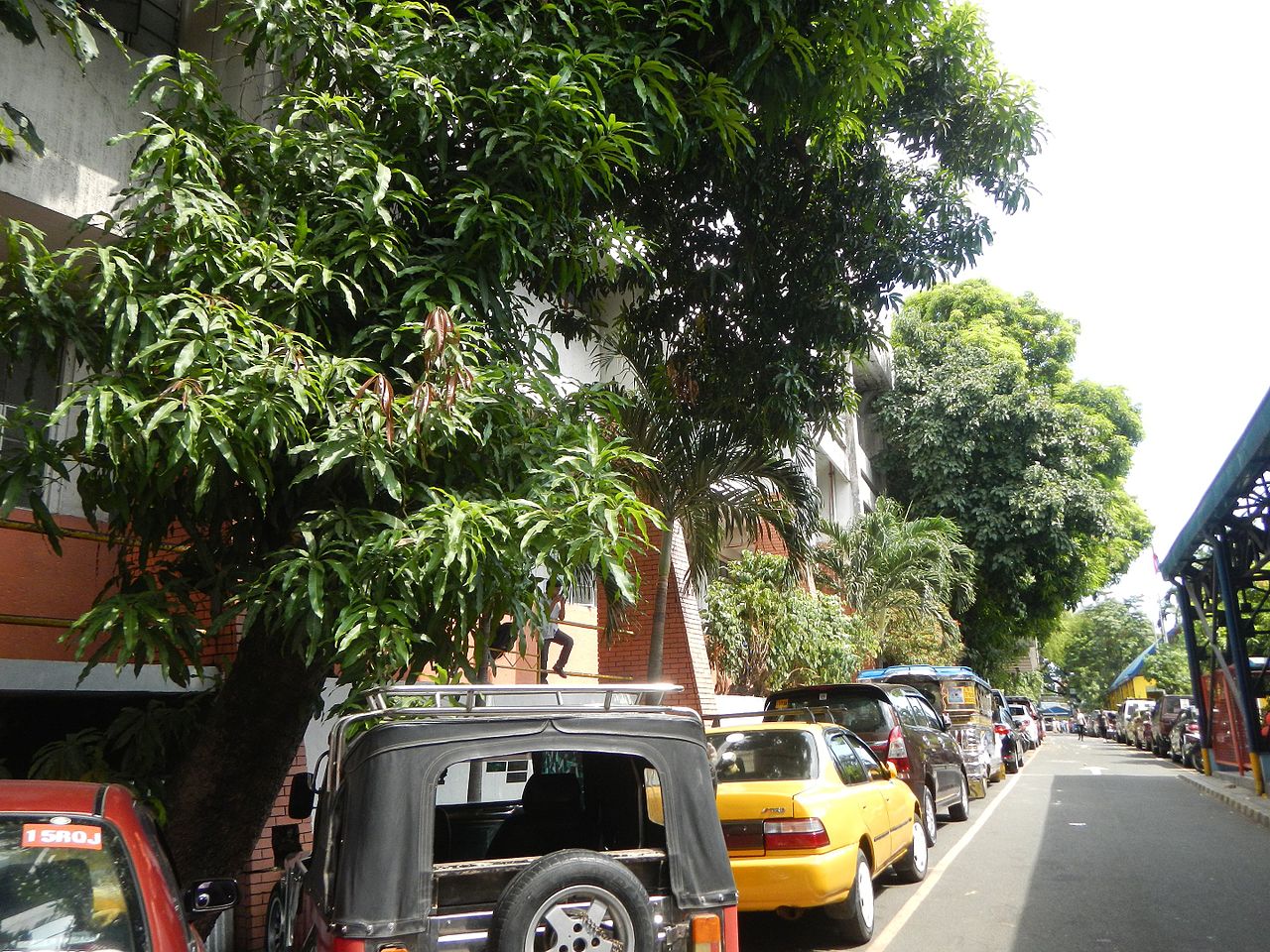 amoranto sports complex - philippin news collections