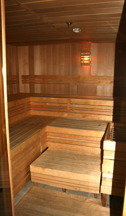 Sauna Wise: Cruise ship sauna