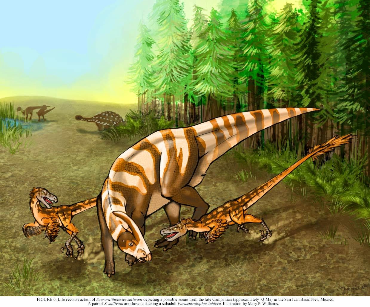 Species New to Science: [Paleontology • 2015] Saurornitholestes ...
