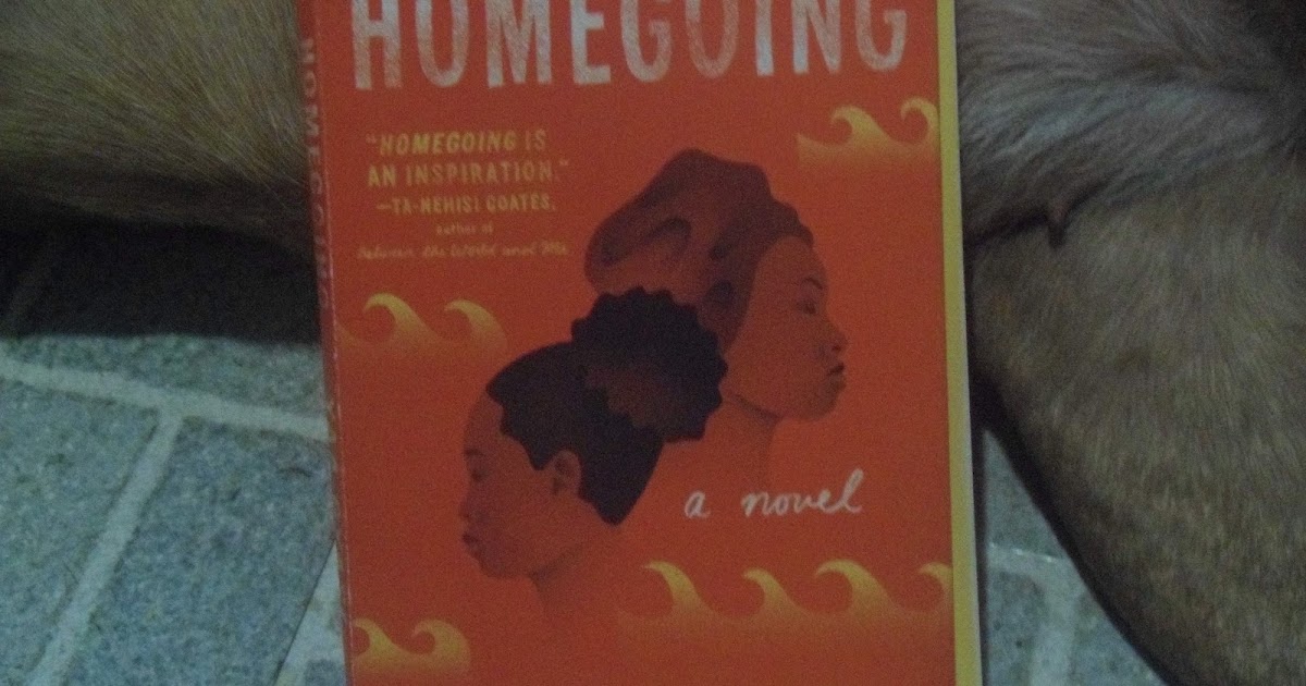 DeelaSees: BOOKS! (Homegoing)