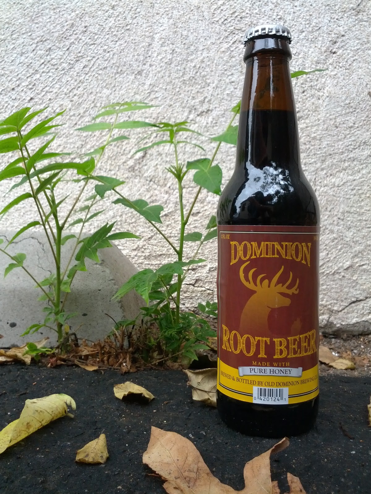 Kyle's Root Beer Galacticus: Dominion root beer