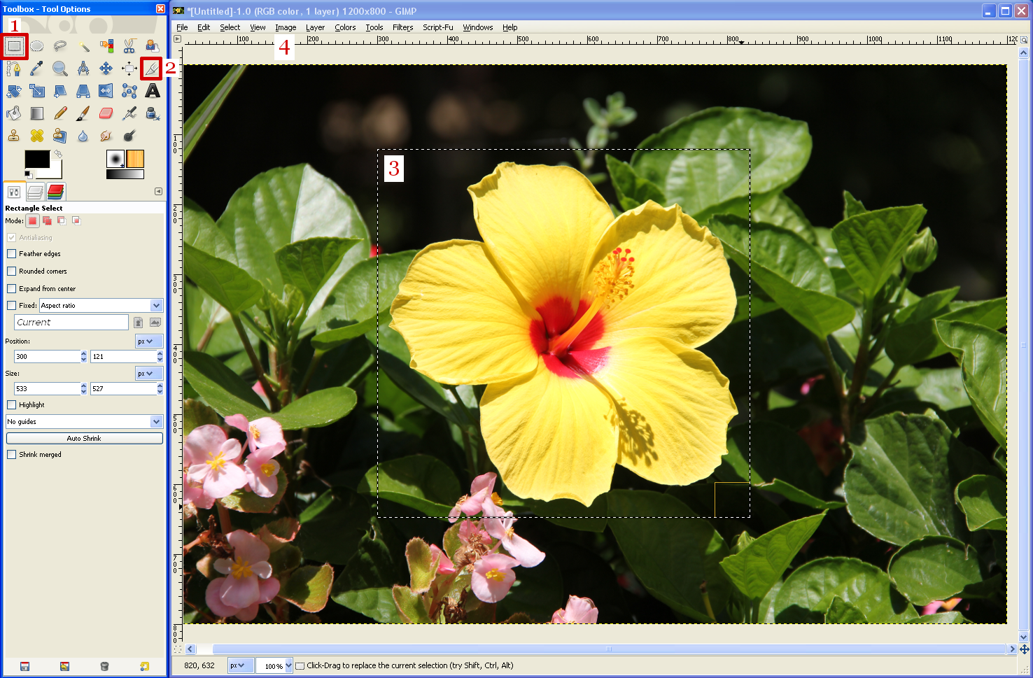 Clown Fish Cafe: GIMP 2.8 Tutorial: Which Tool Should I Use to Cut Out ...
