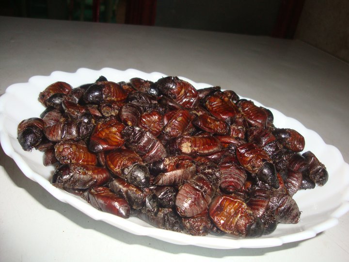 Random Thoughts and Arrogant Opinions: Ab-ableng/Abal-abal: A second look