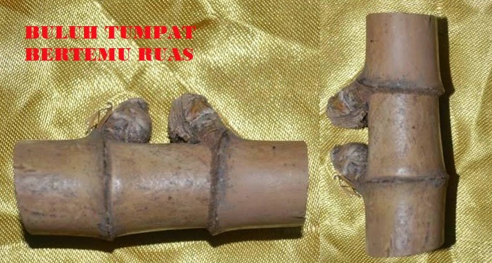 mistik-ajaib.blogspot.com: HOT ITEM!!!!!!! BULUH TUMPAT BERTEMU RUAS ...