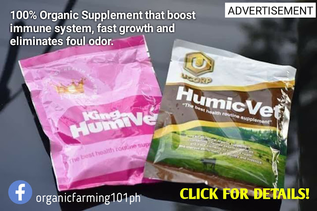 AN OVERVIEW OF THE RABBIT INDUSTRY IN THE PHILIPPINES