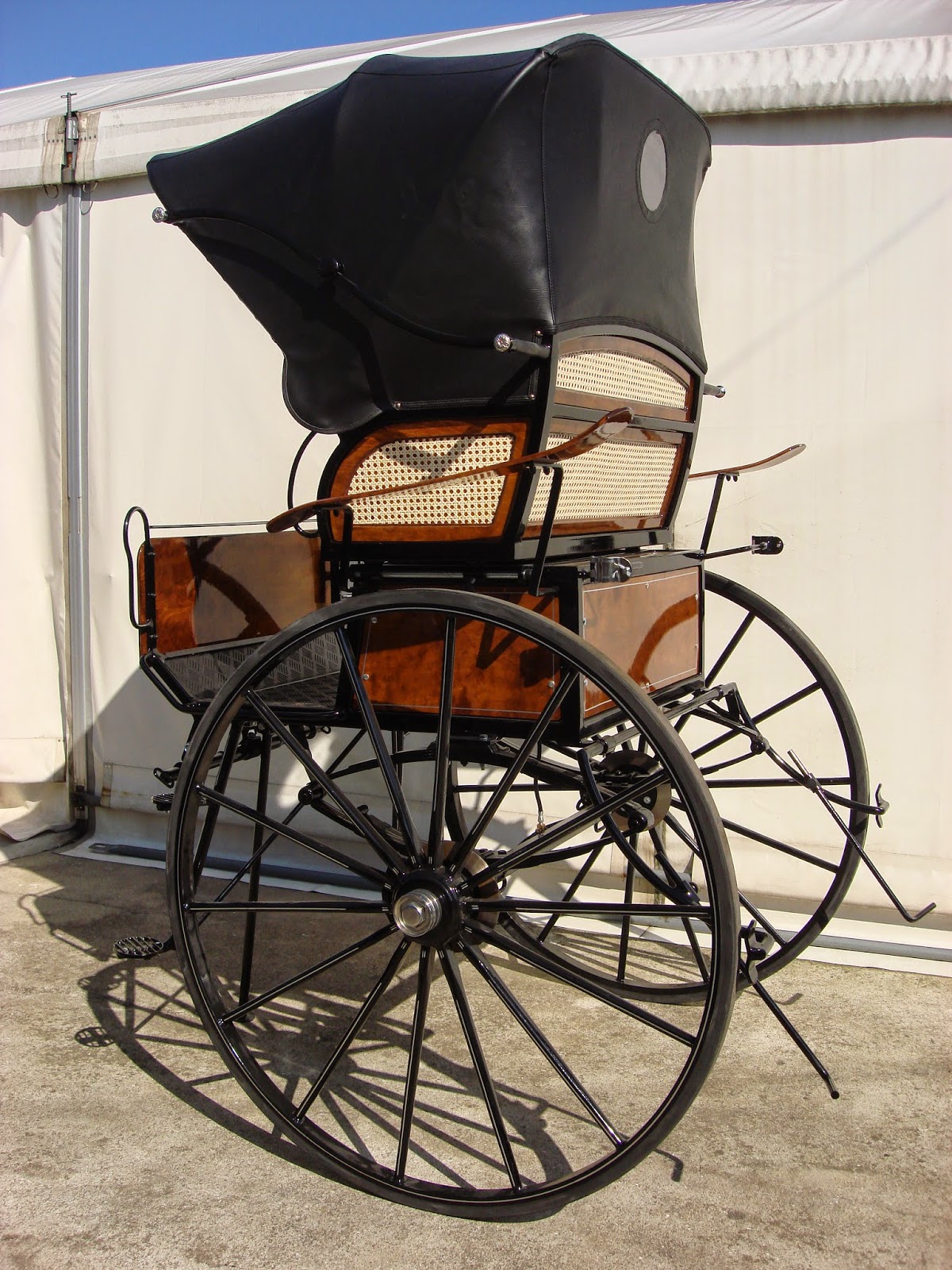 coches,charretes e todo o tipo de atrelagens: charrete com capota