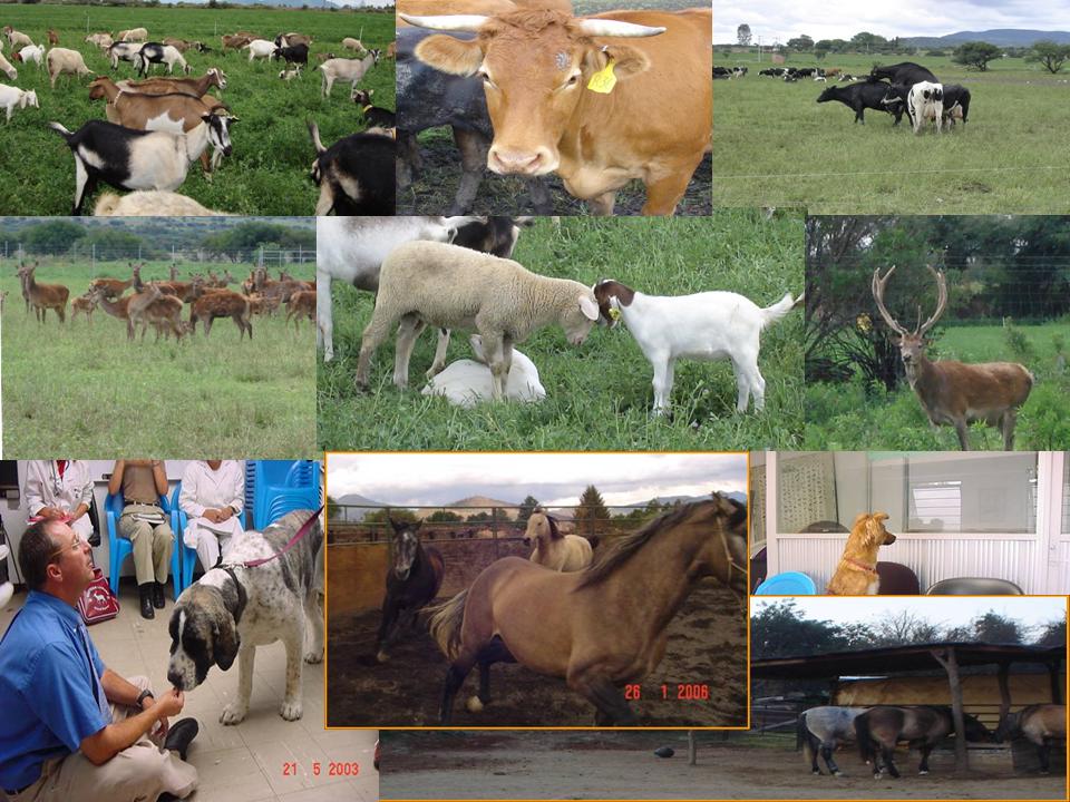 Etología ~ Botánica