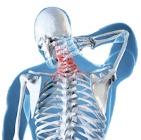 memoirs of a budding bodyworker