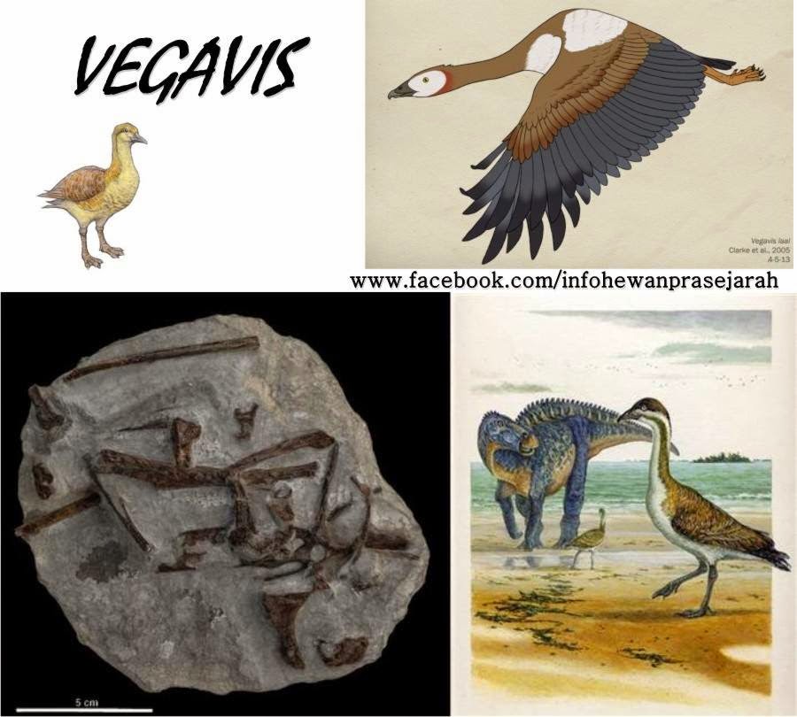 Koleksi Hewan-Hewan Prasejarah